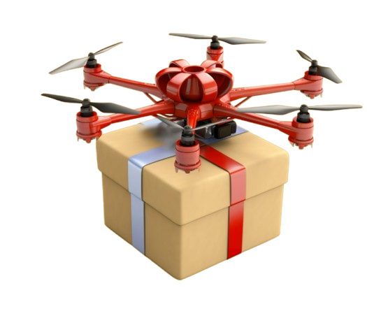 Tasleem Services - Premier Government Document Delivery